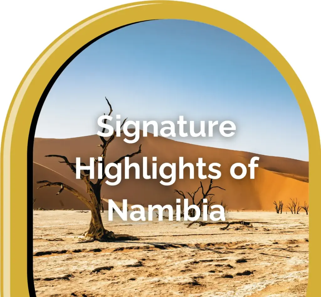 Signature Highlights of Namibia | Now Boarding